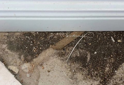 Ants & Termites - Pest Control in Stuart and Port Saint Lucie